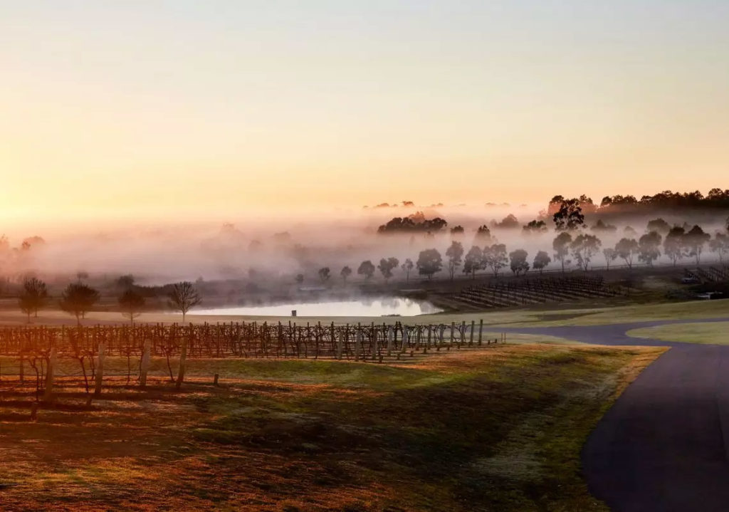 Hunter Valley – Kenny Express